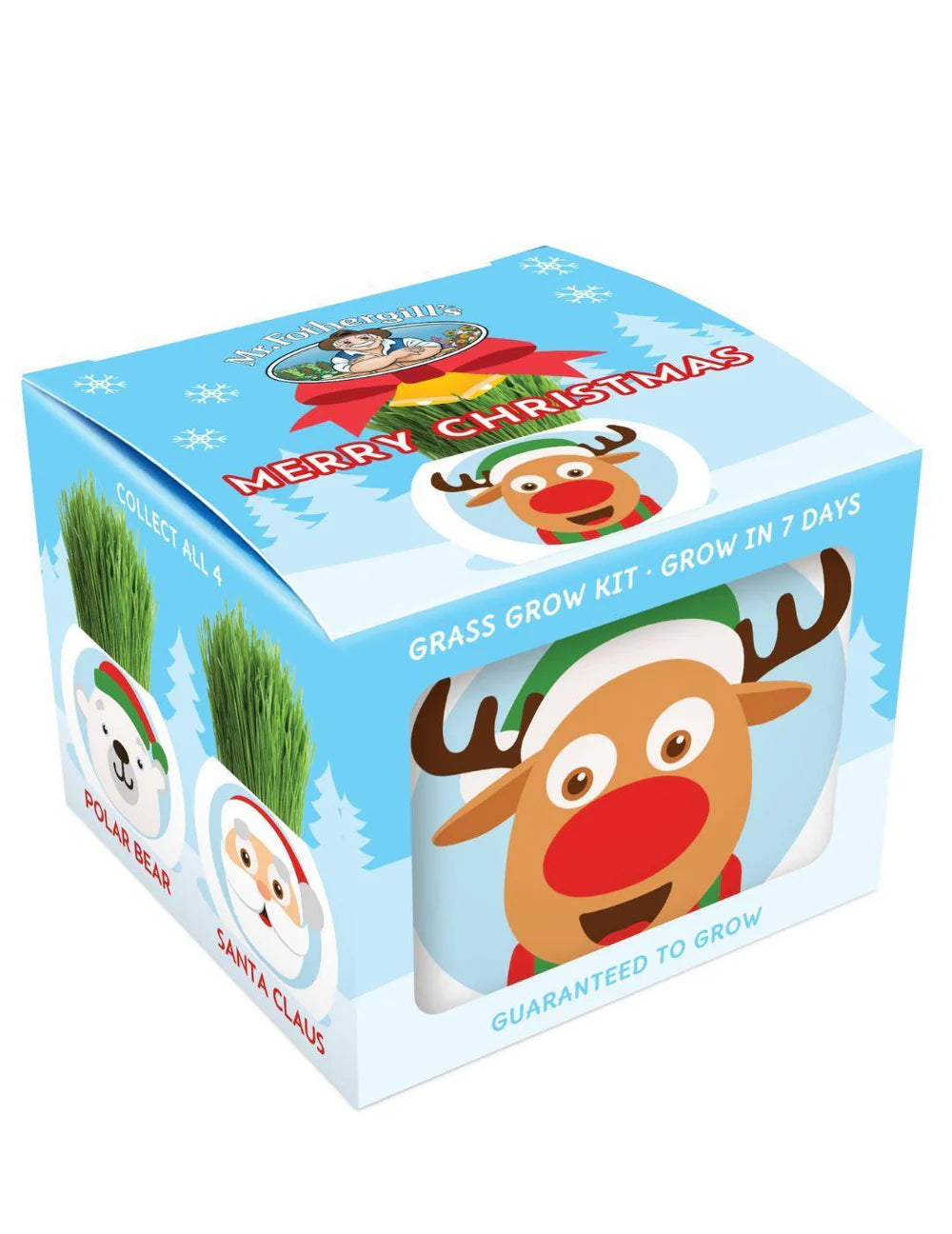 Grass Grow Kit Chrstmas – Northcote Nursery