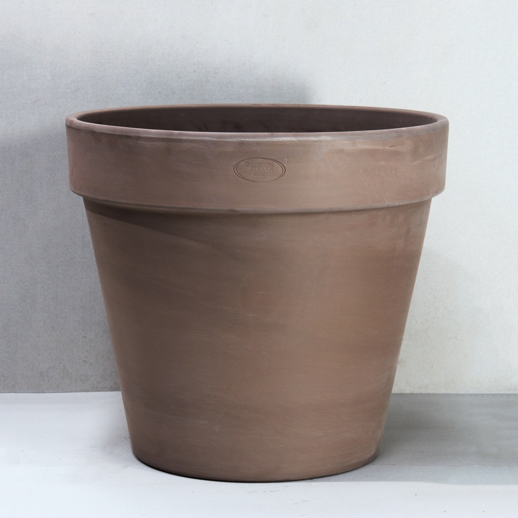 Italian Terracotta Graphite Contempo Pot – Northcote Nursery