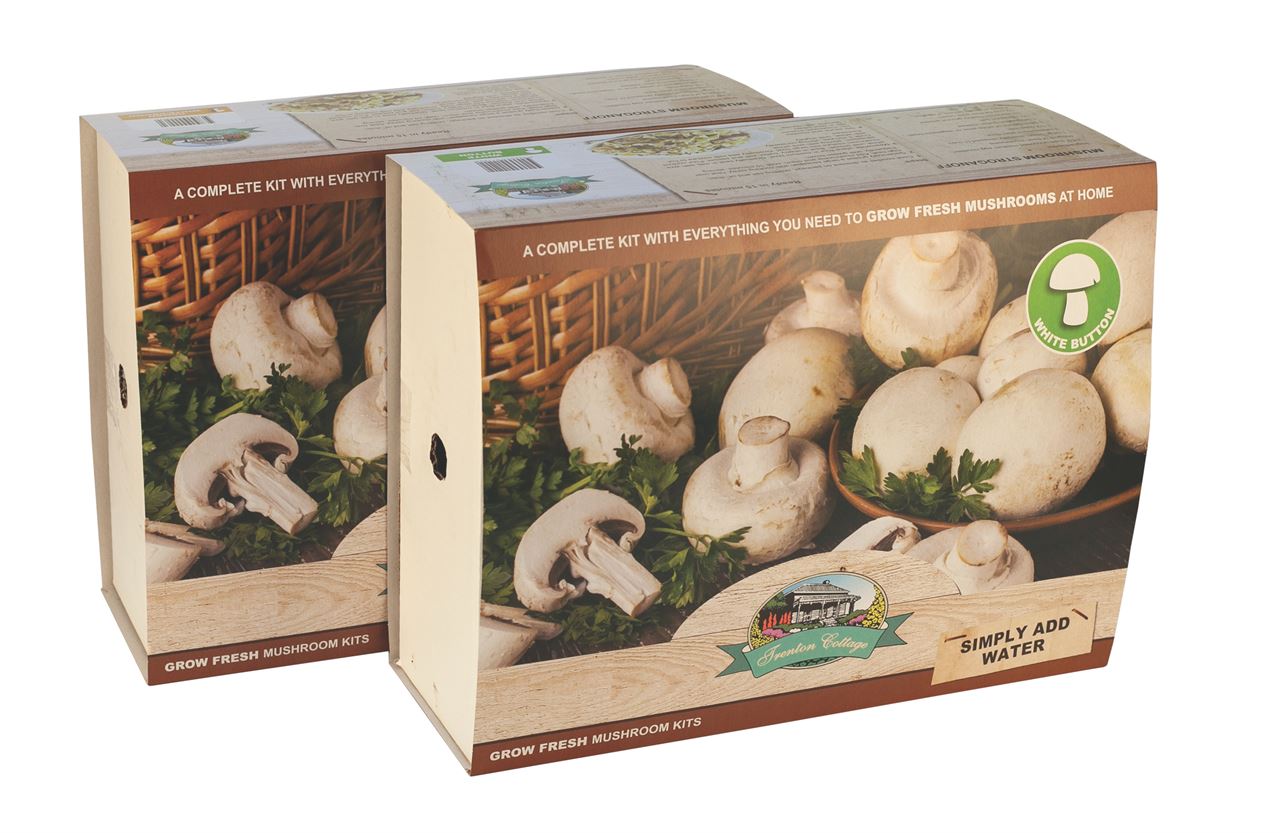Mushroom Kits – Northcote Nursery