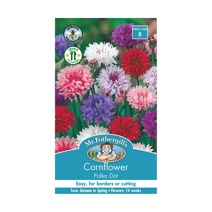 Cornflower 'Polka Dot' Seeds – Northcote Nursery