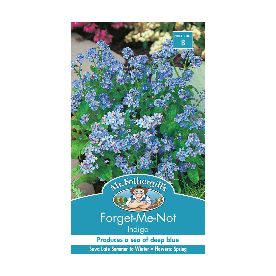 Forget Me Not 'Indigo' Seeds – Northcote Nursery