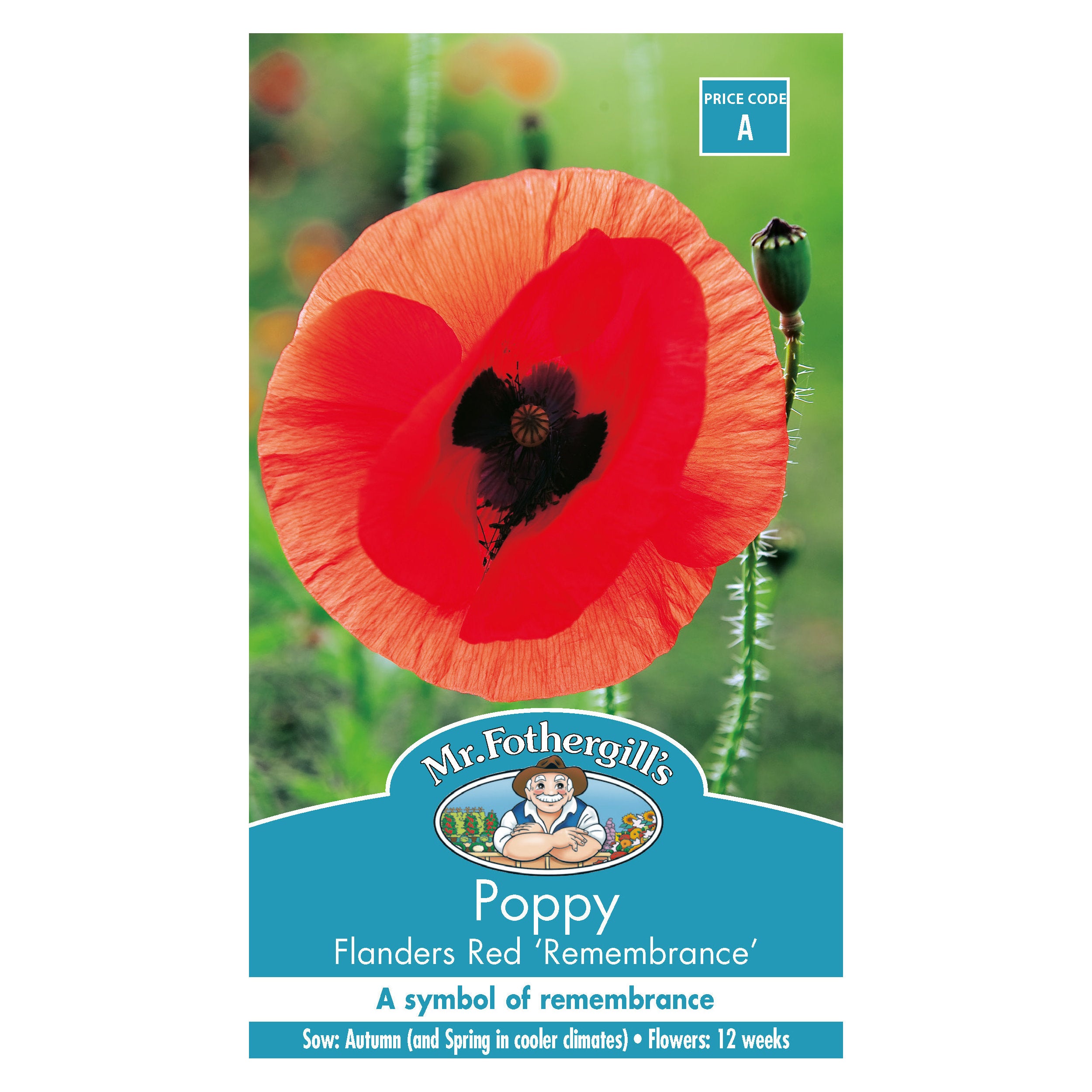 Poppy Flanders Red 'Remembrance' seeds – Northcote Nursery
