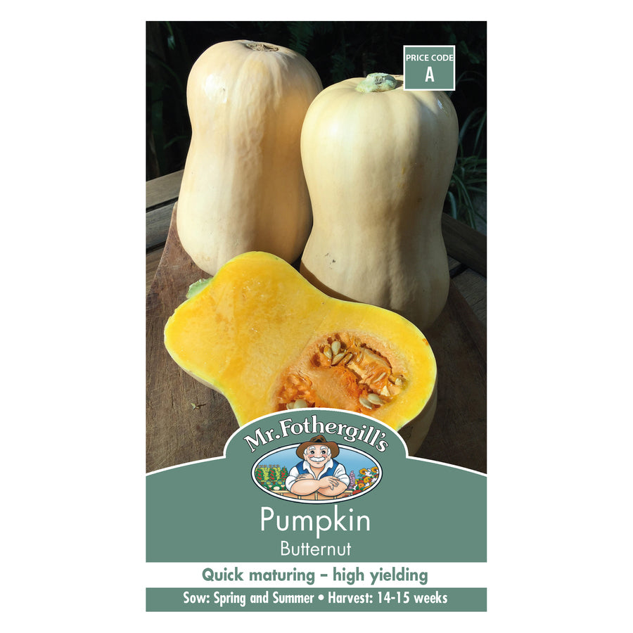 Pumpkin 'Butternut' seeds – Northcote Nursery