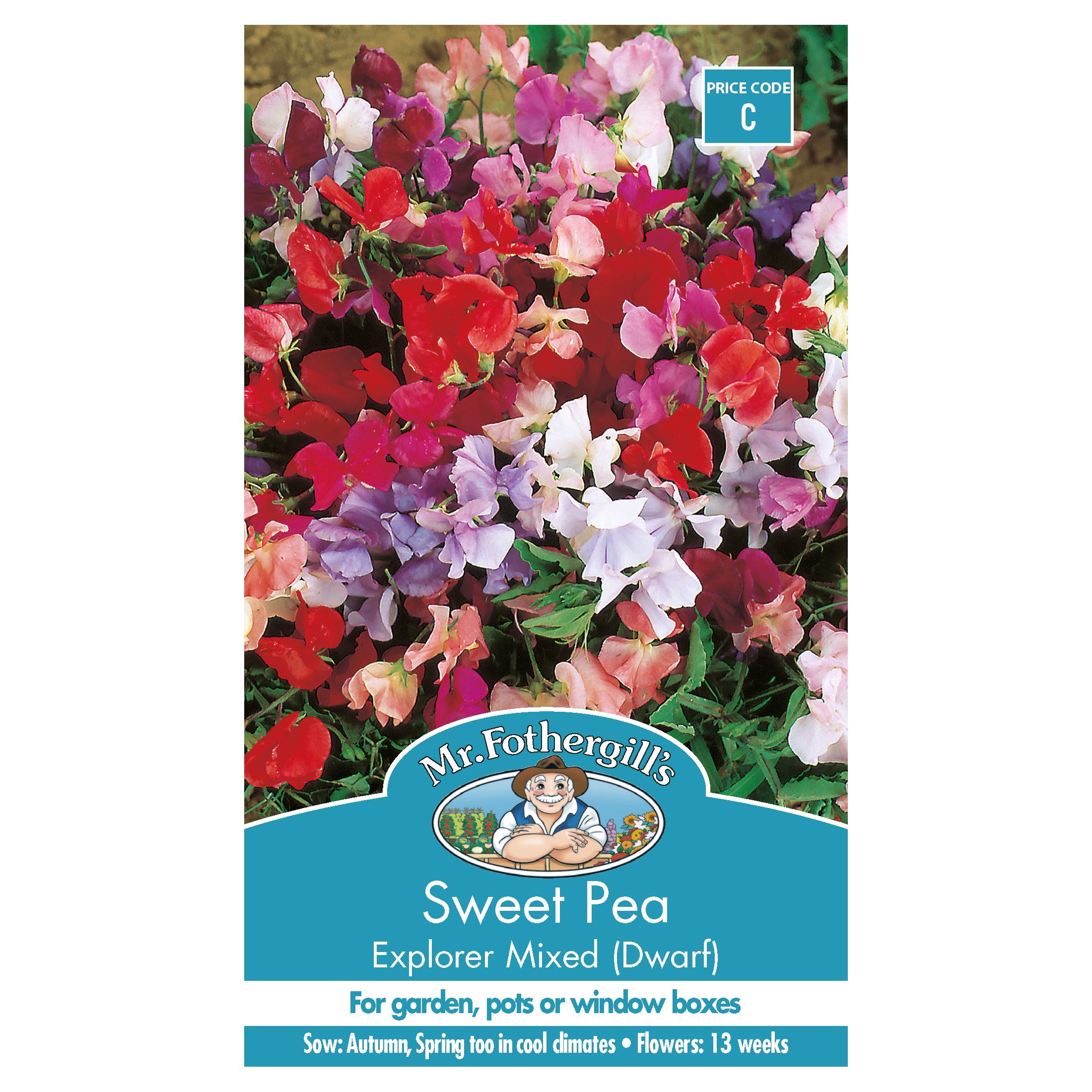 Sweet Pea ‘Explorer Mixed (Dwarf) seeds – Northcote Nursery
