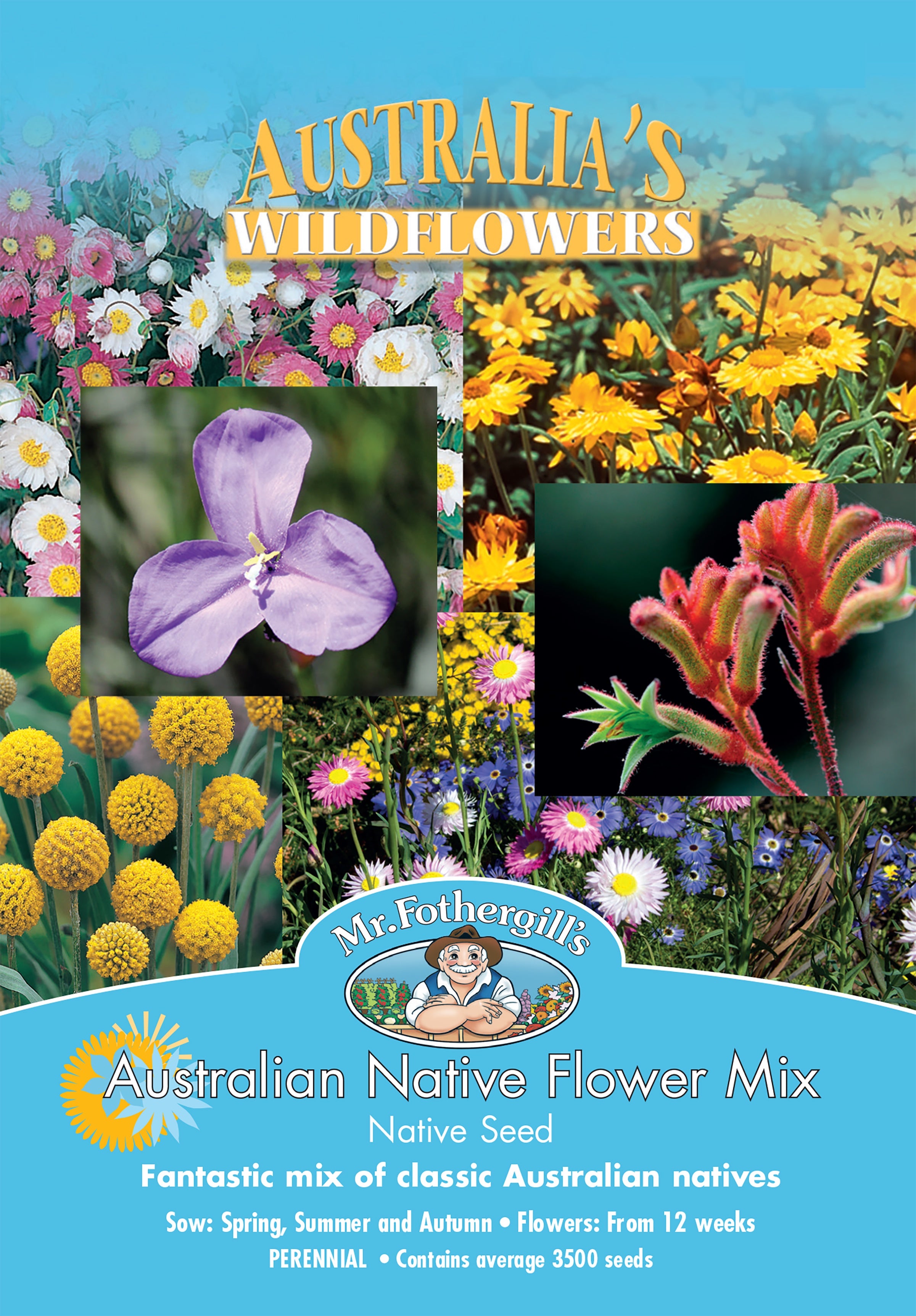 Australian Native Flower Mix seeds – Northcote Nursery