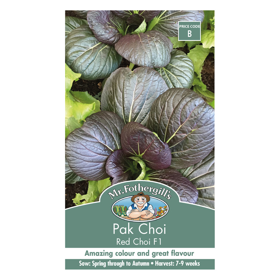 Pak Choi 'Red Choi F1' Seeds – Northcote Nursery