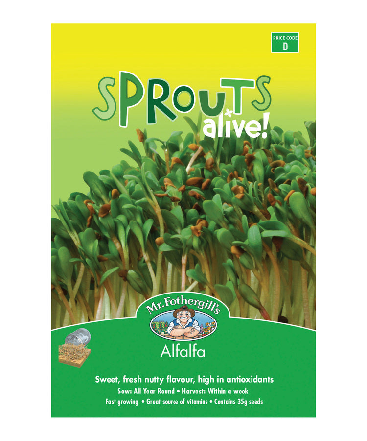 Sprouts Alive! – Alfalfa – Northcote Nursery