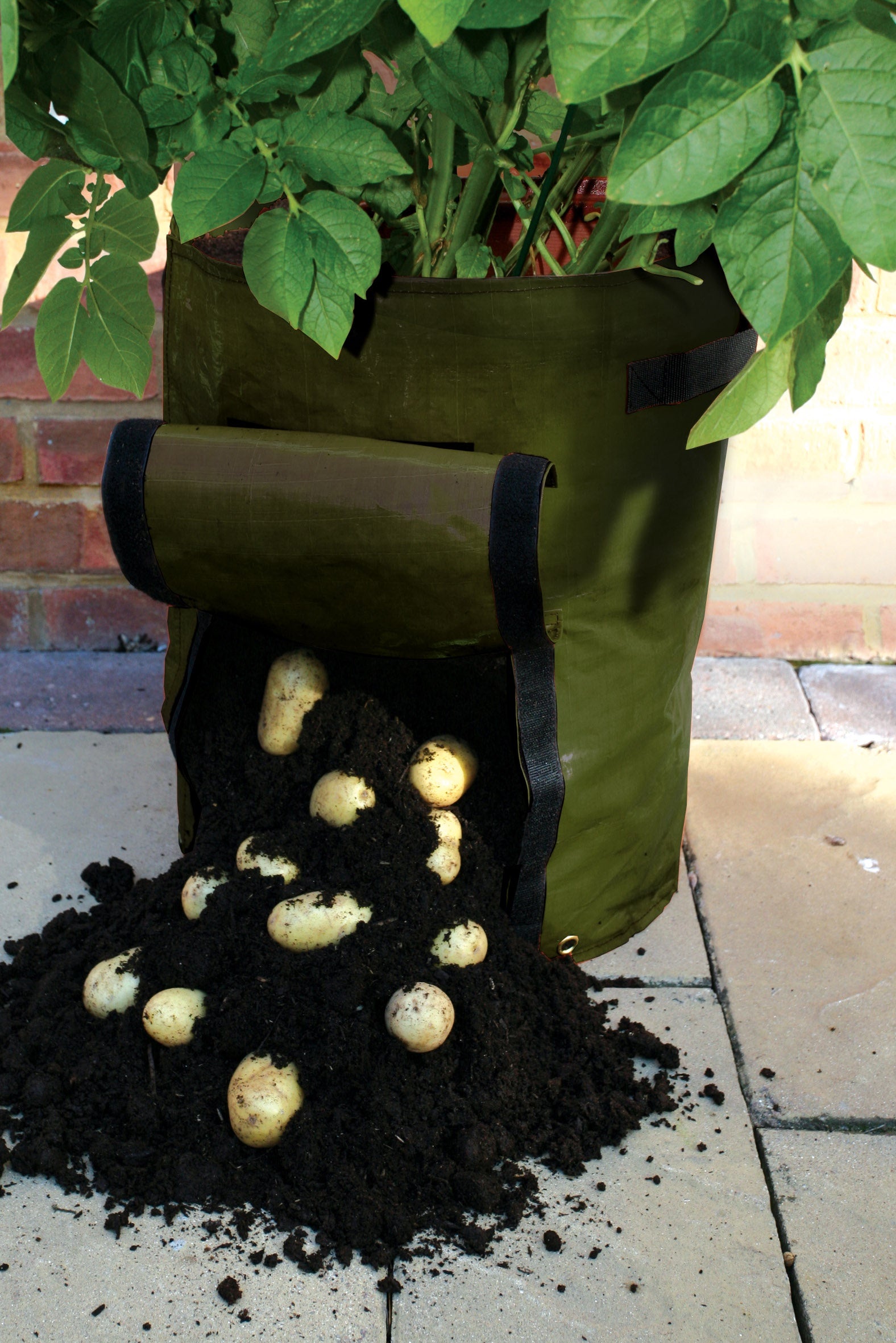 Spud Grow Bag - Twin Pack – Northcote Nursery