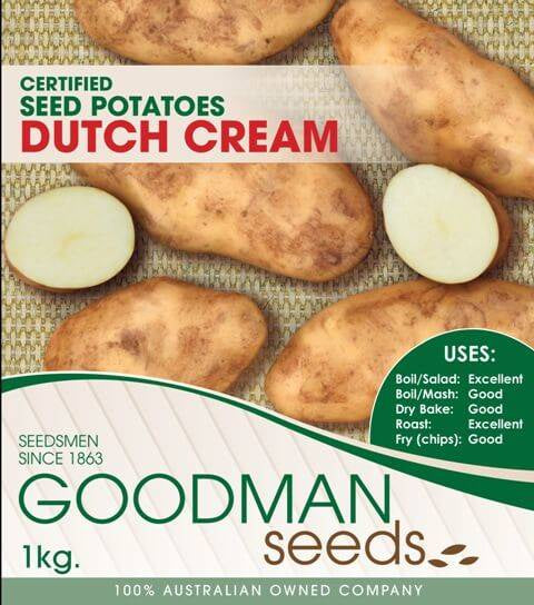 Seed Potatoes - Dutch Cream – Northcote Nursery