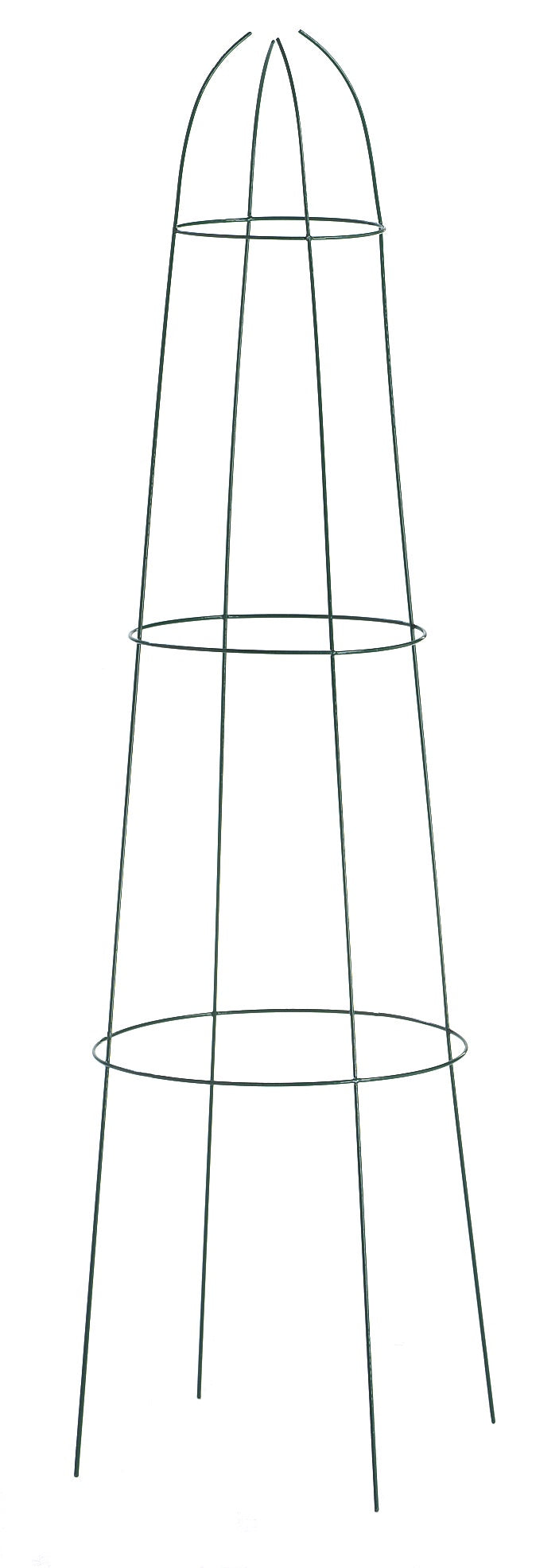 Wire Tomato Frame - Green – Northcote Nursery