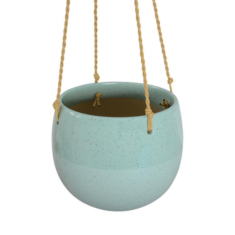 Capri Hanging Pot Mint – Northcote Nursery