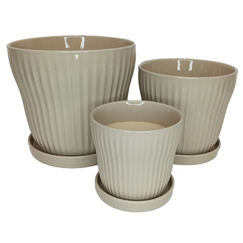 Akira Banded Pot Mushroom – Northcote Nursery