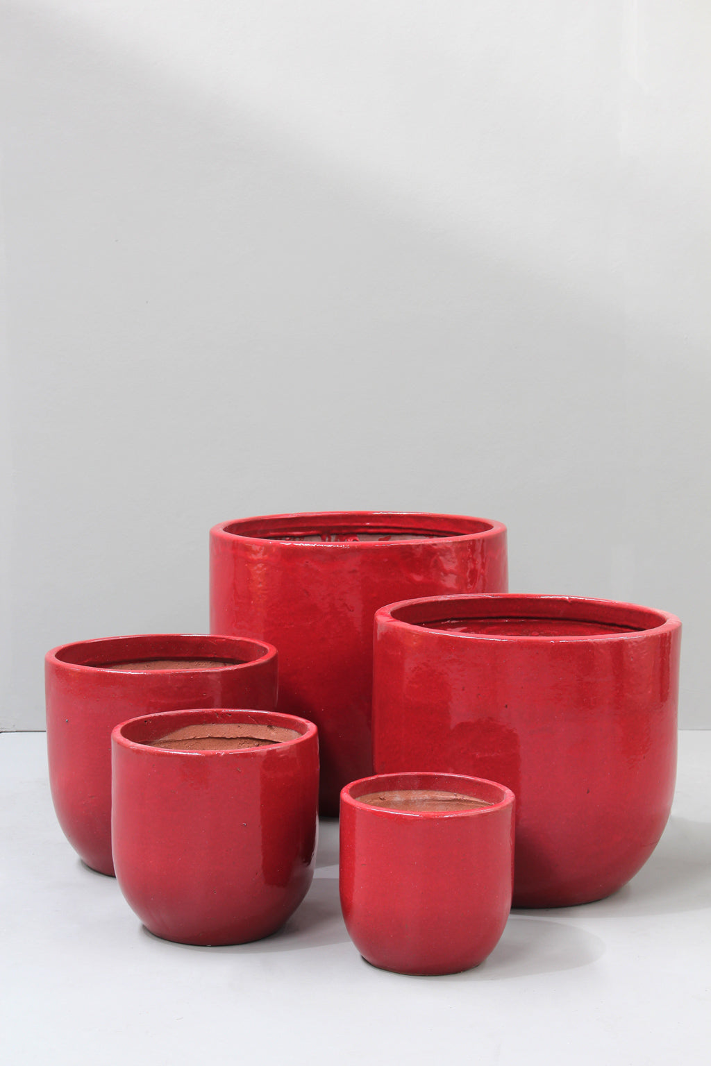 Cambridge - Atomic Red – Northcote Nursery