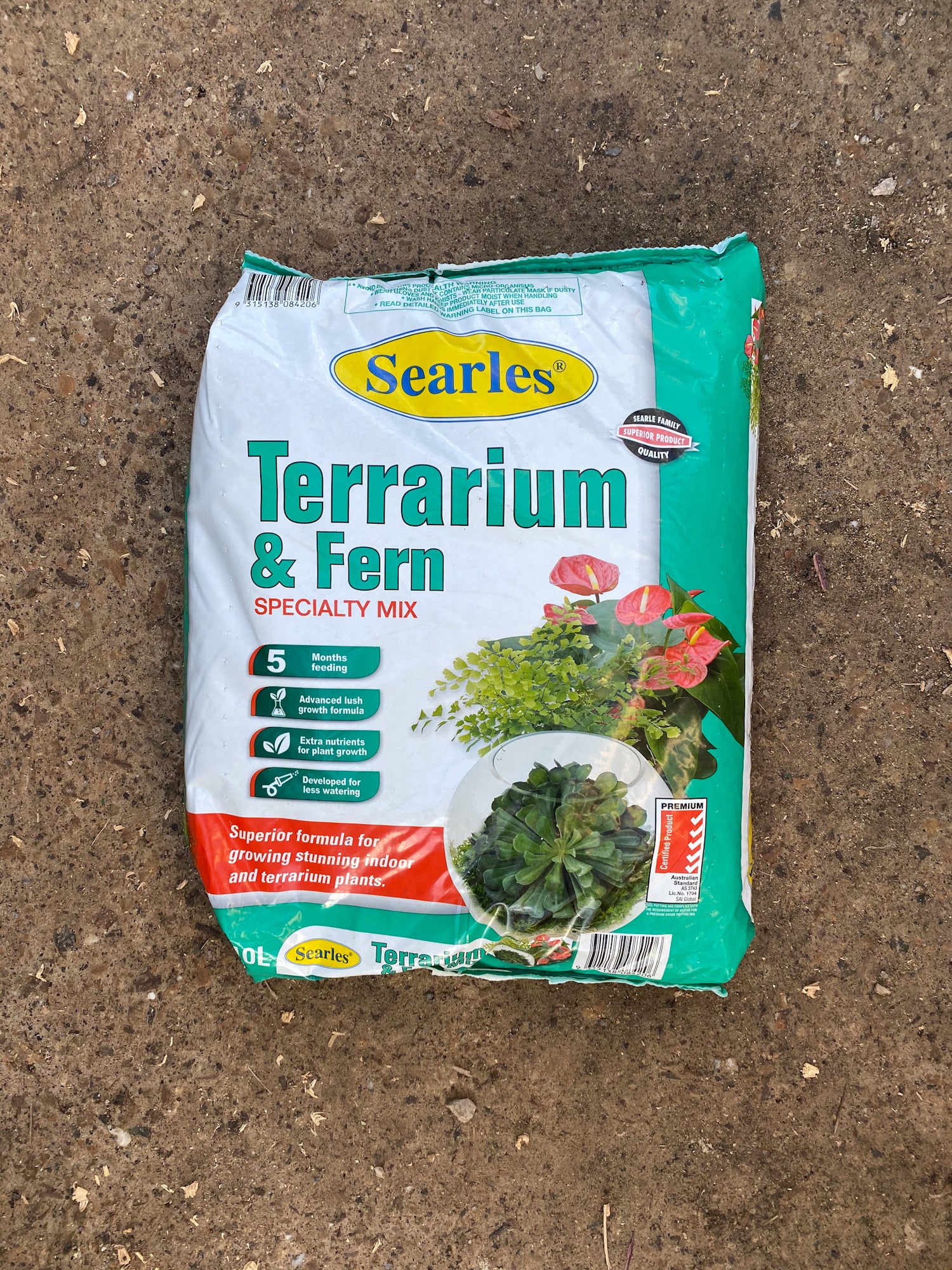 Terrarium & Fern Specialty Mix – Northcote Nursery