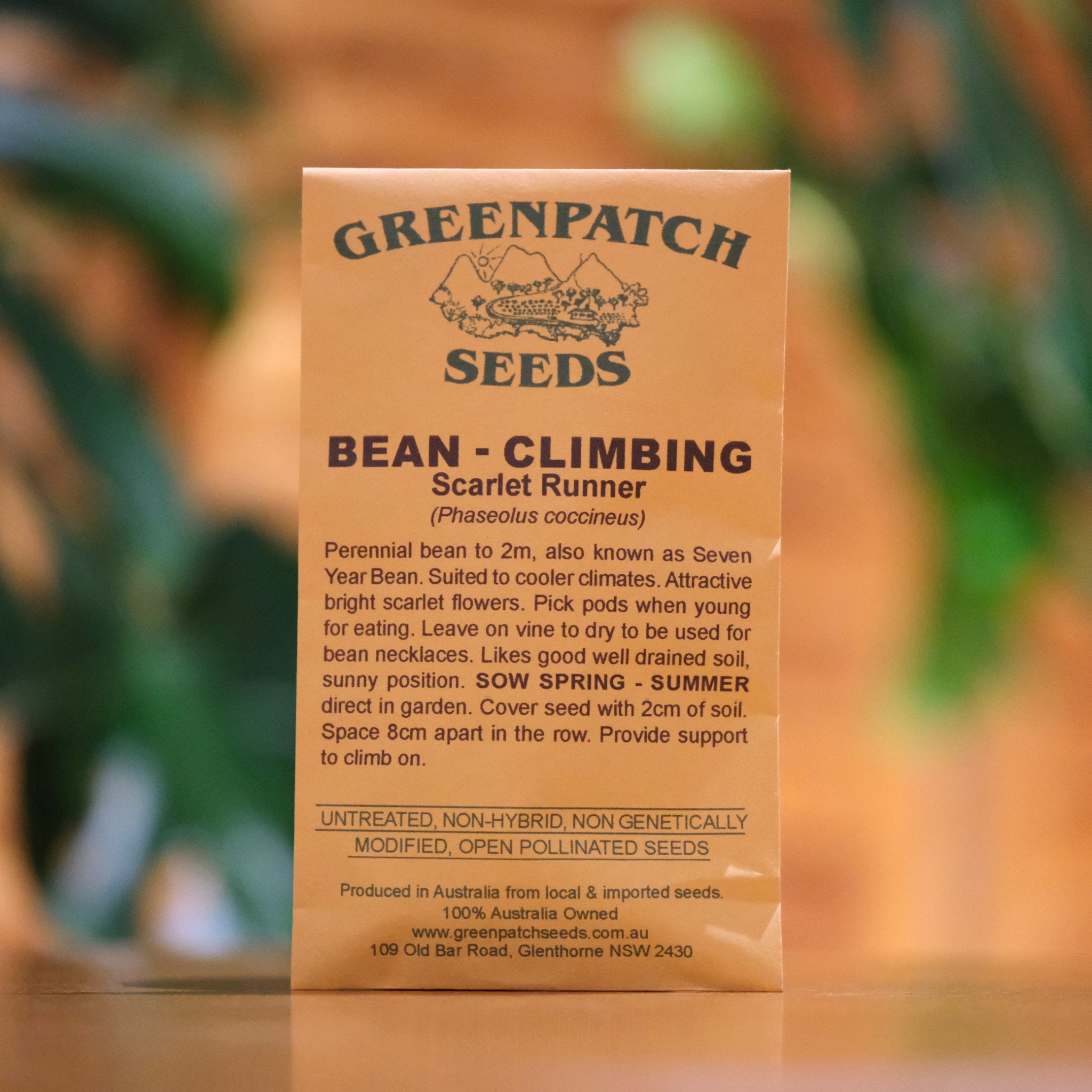 Bean – Climbing 'Scarlet Runner' Greenpatch Seeds – Northcote Nursery