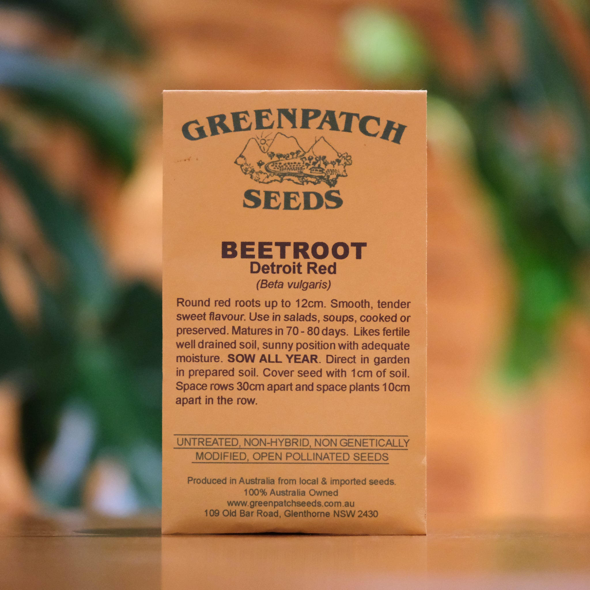 Beetroot 'Detroit Red' Greenpatch Seeds – Northcote Nursery
