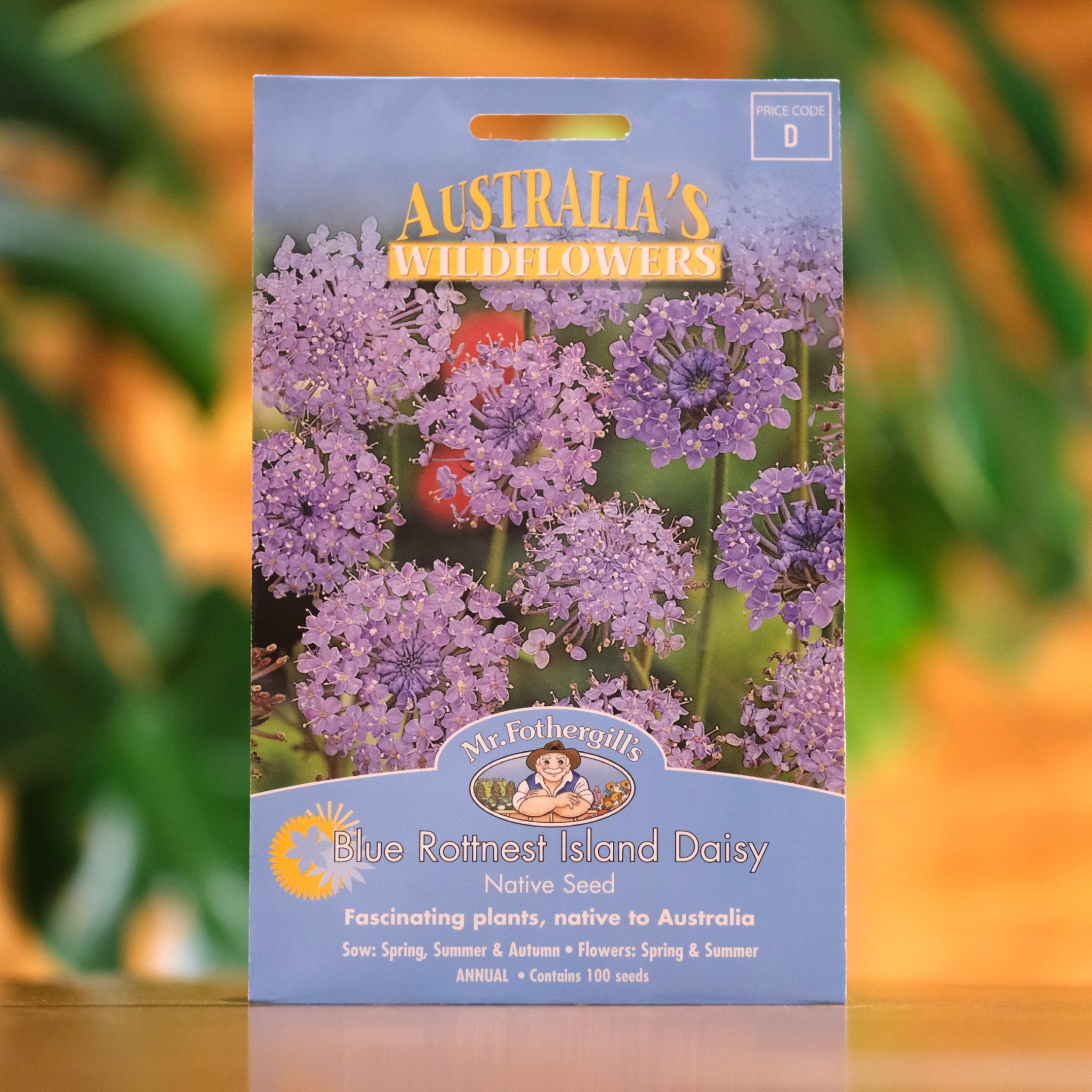 Blue Rottnest Island Daisy seeds – Northcote Nursery