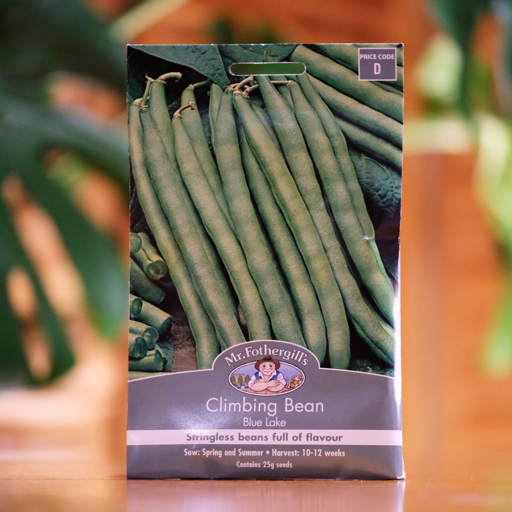 Bean - Climbing 'Blue Lake' seeds – Northcote Nursery