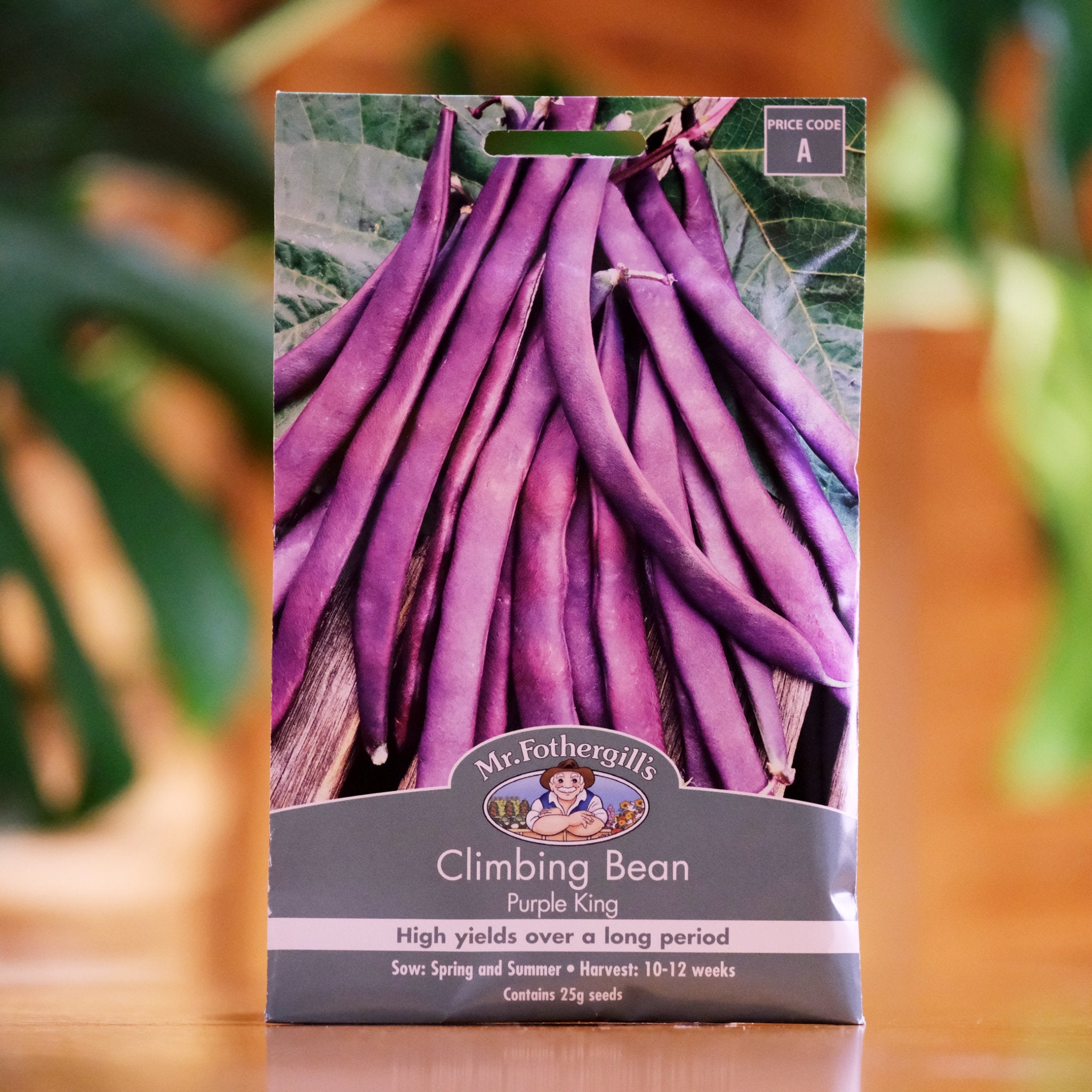 Bean - Climbing 'Purple King' seeds – Northcote Nursery