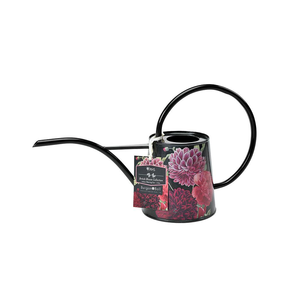 British Bloom Indoor Watering Can – Northcote Nursery