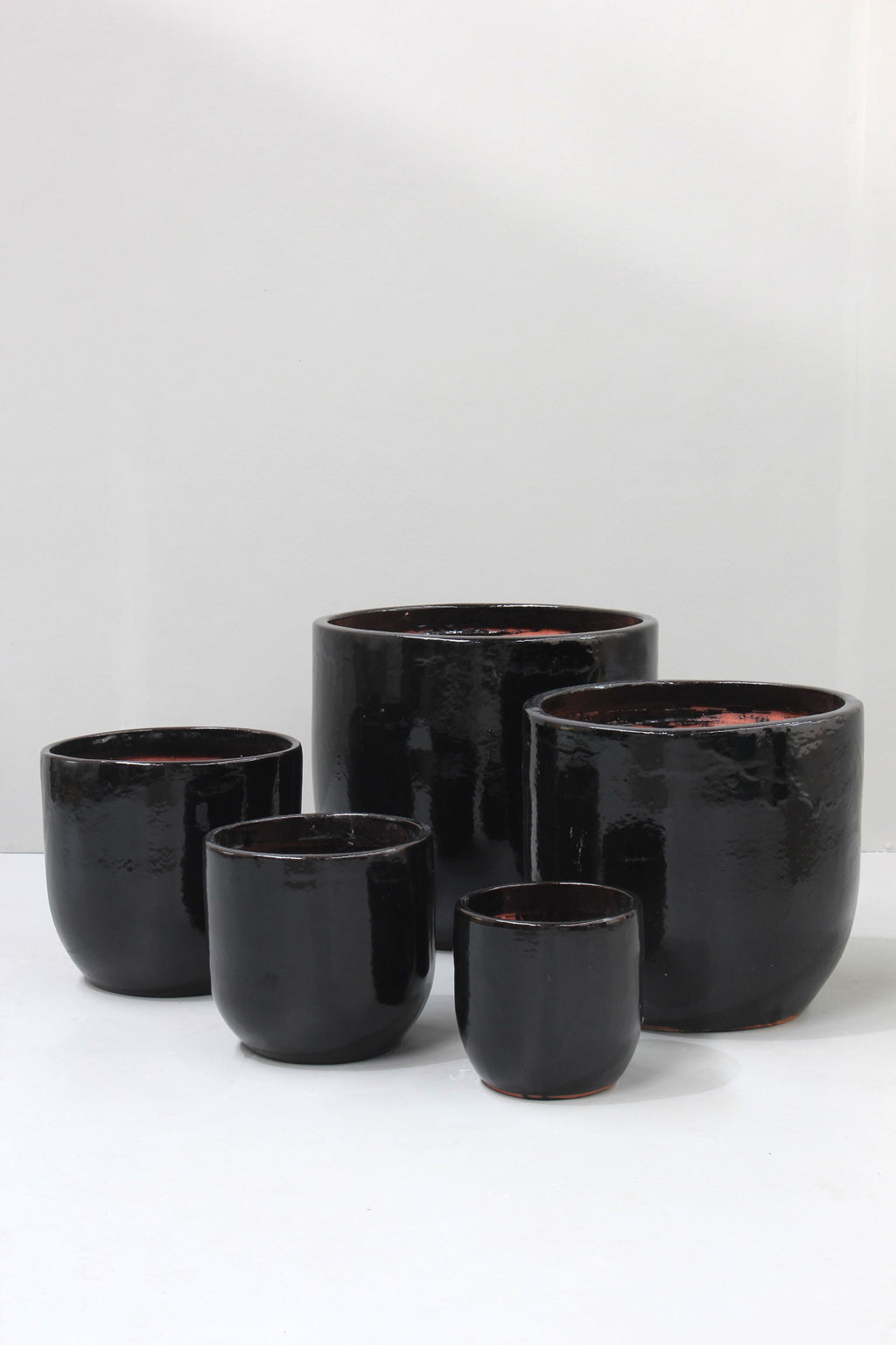 Cambridge - Gloss Black – Northcote Nursery