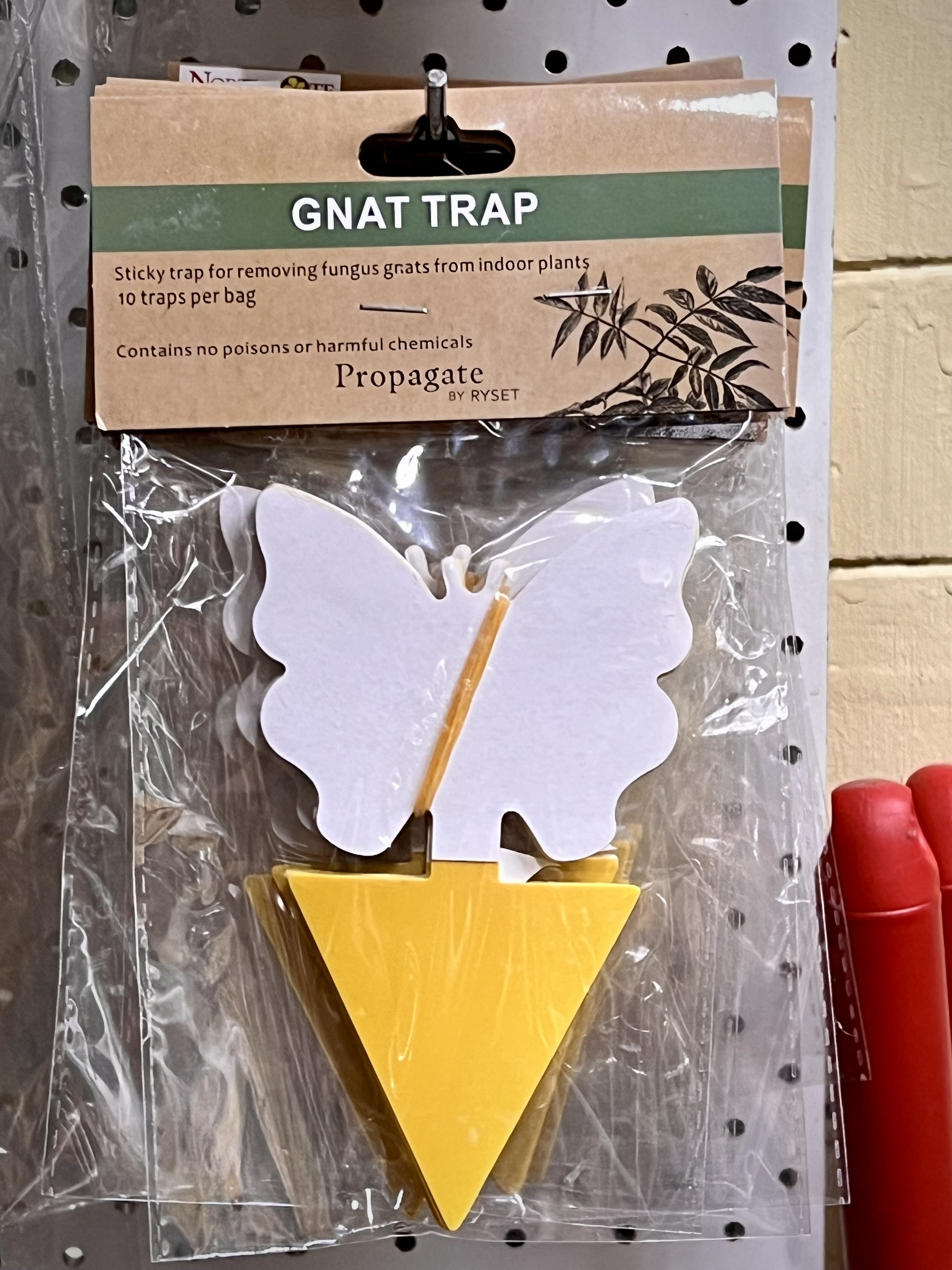 Sticky Gnat Traps – Northcote Nursery