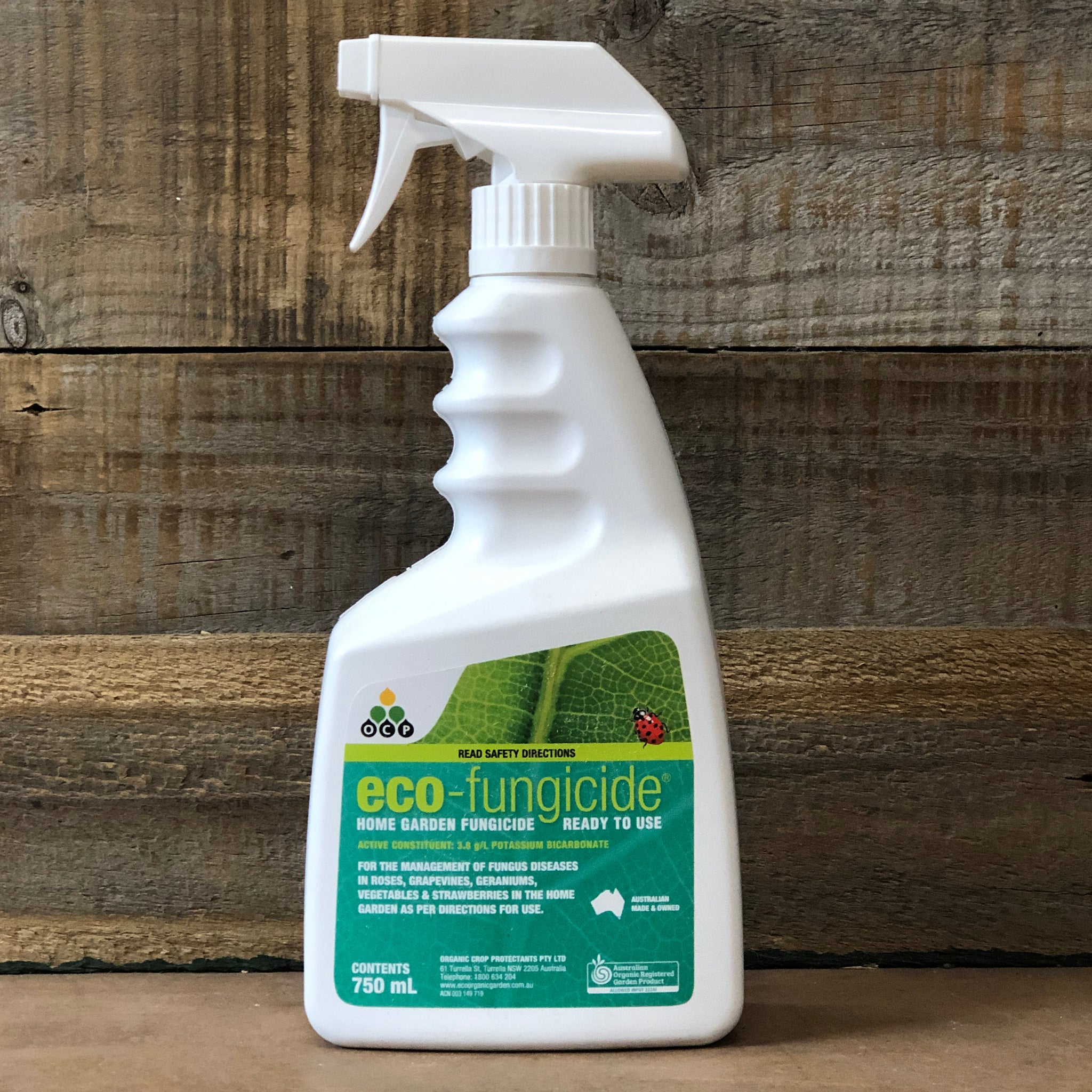 Eco-fungicide Ready to Use Spray – Northcote Nursery