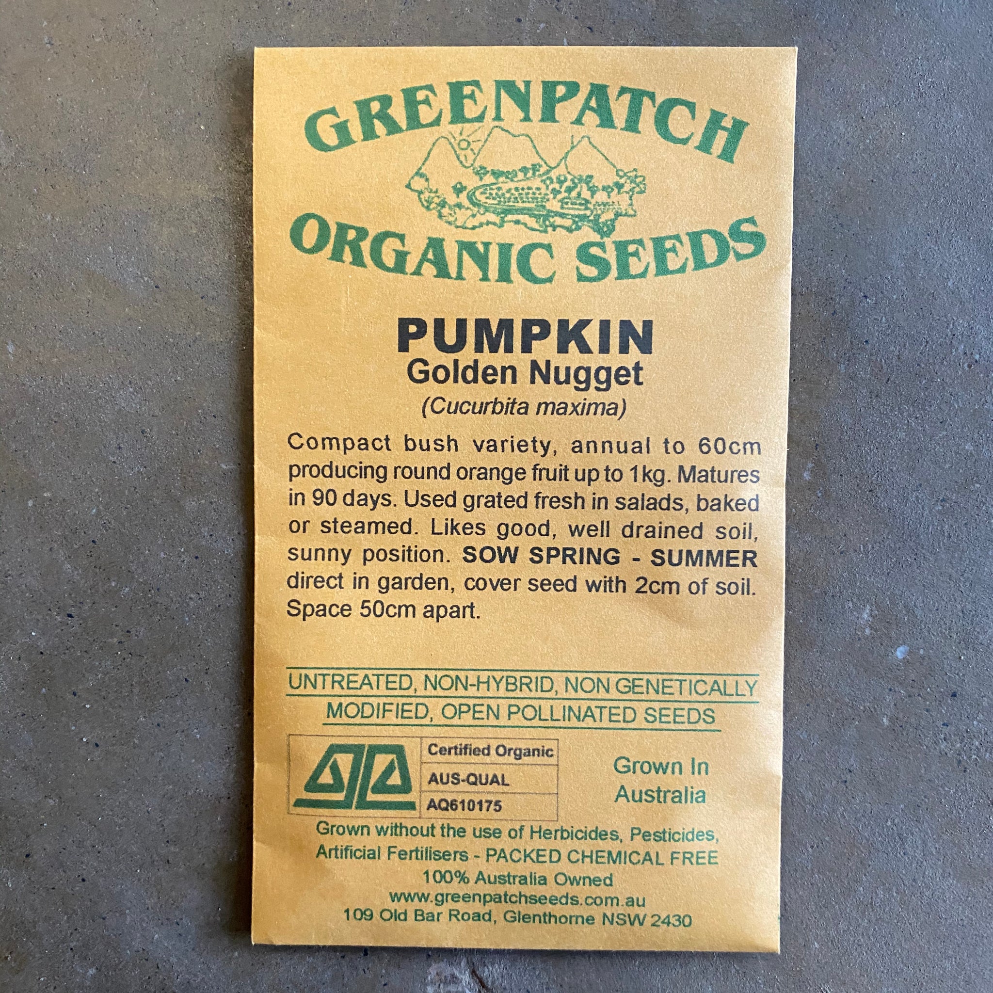 Pumpkin 'Golden Nugget' Greenpatch Seeds – Northcote Nursery