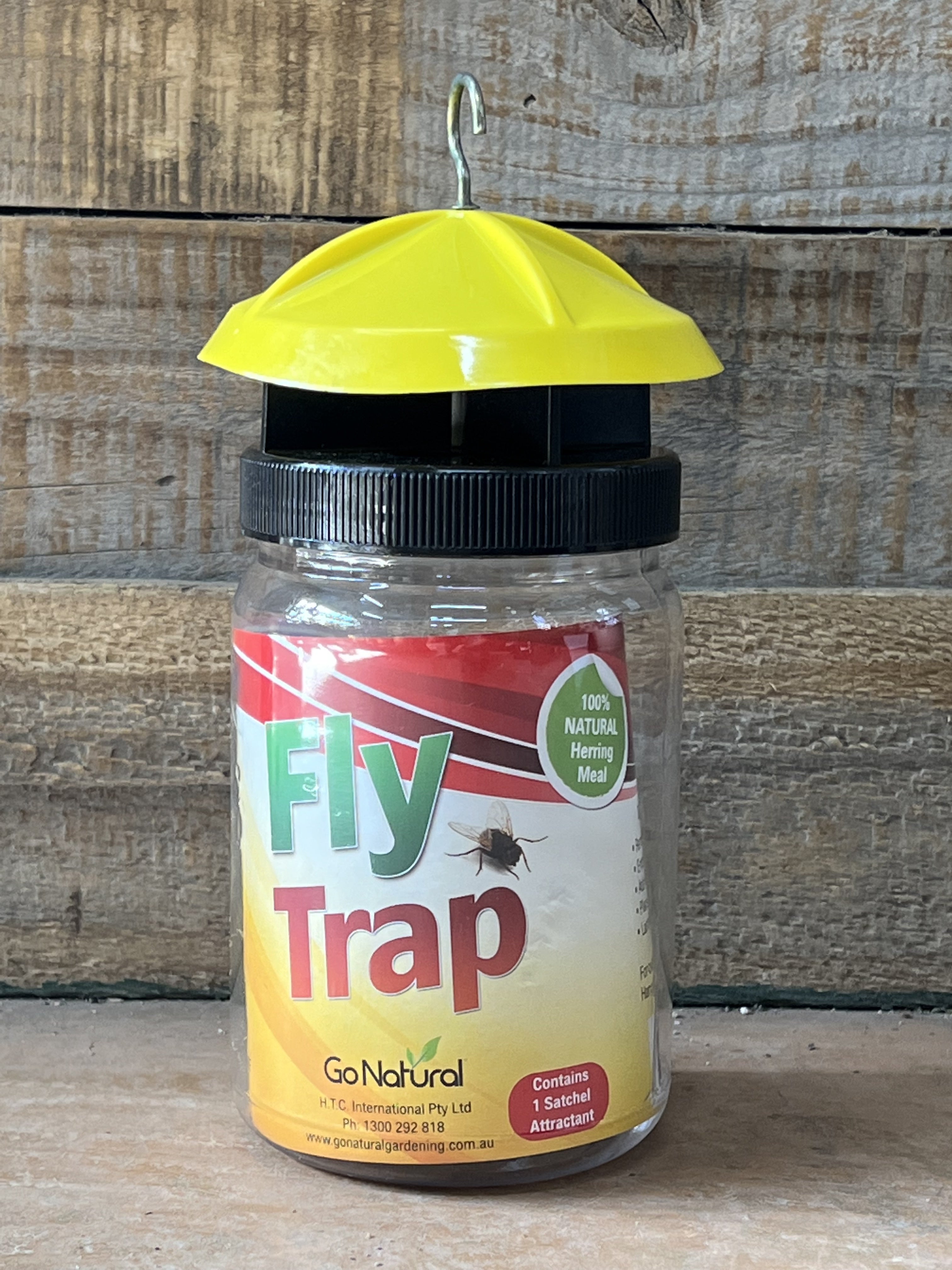 Fly Trap – Northcote Nursery