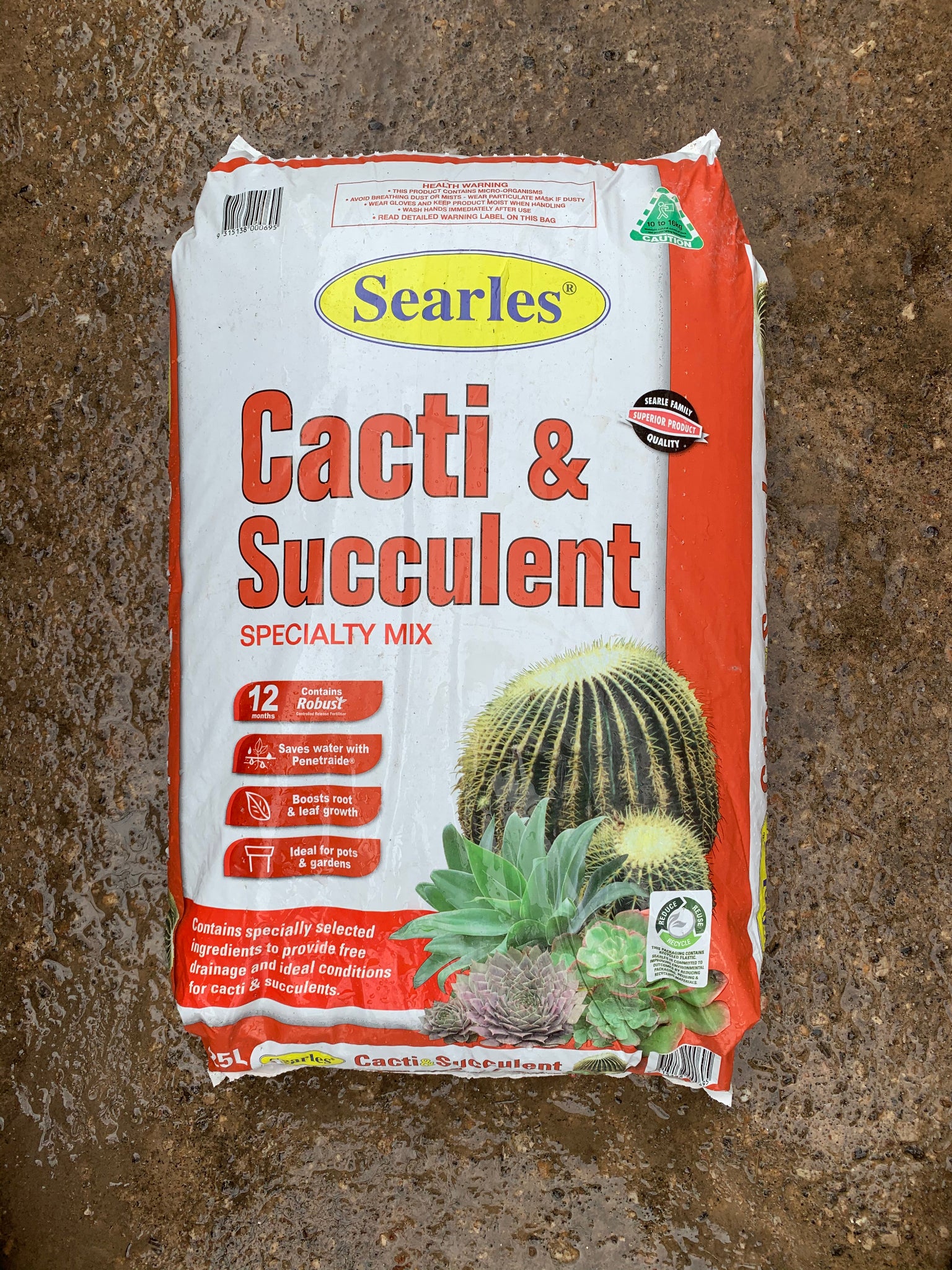 Cacti & Succulent Speciality Mix – Northcote Nursery