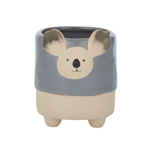 Kafu Koala Ceramic Pot – Northcote Nursery