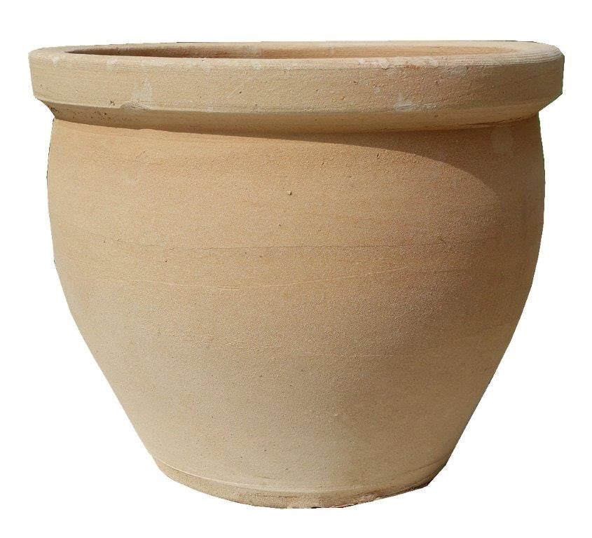 Karachi Planter – Northcote Nursery