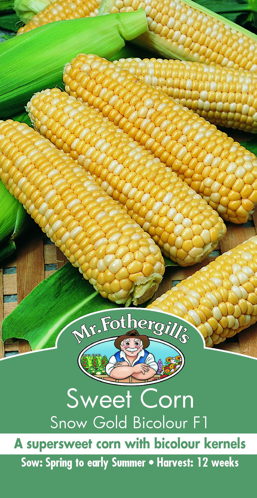 Sweet Corn 'Snow Gold F1' Seeds – Northcote Nursery