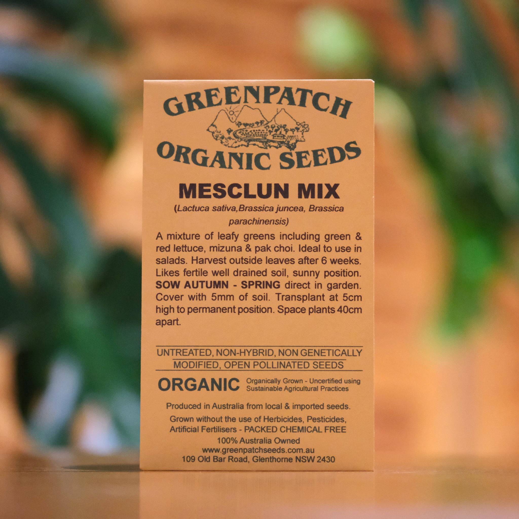 Mesclun Mix Greenpatch Seeds – Northcote Nursery