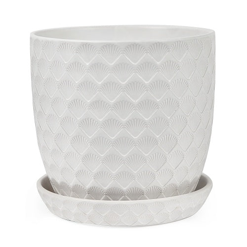 Shell Pot with Saucer - Matte White – Northcote Nursery
