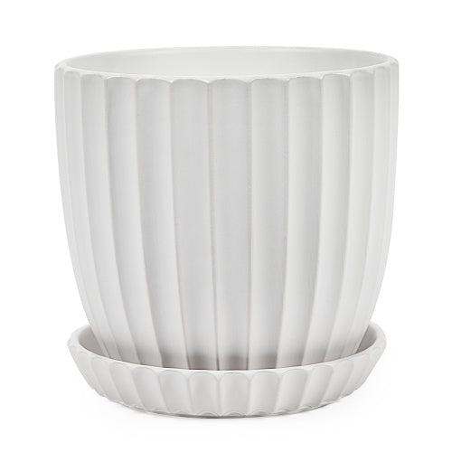 Ridge Pot Matte White – Northcote Nursery