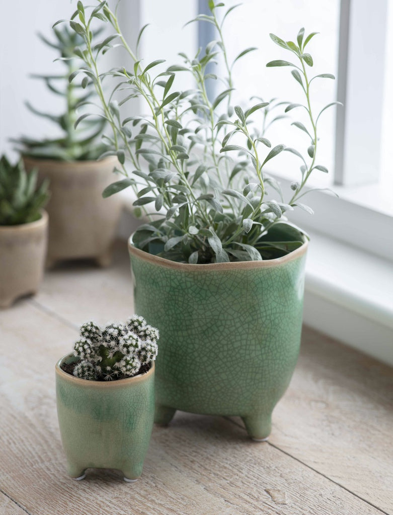 Positano Pot - Foliage Green – Northcote Nursery