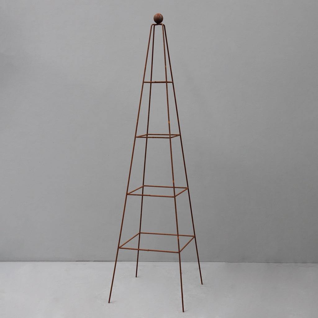 Obelisk Frame – Northcote Nursery