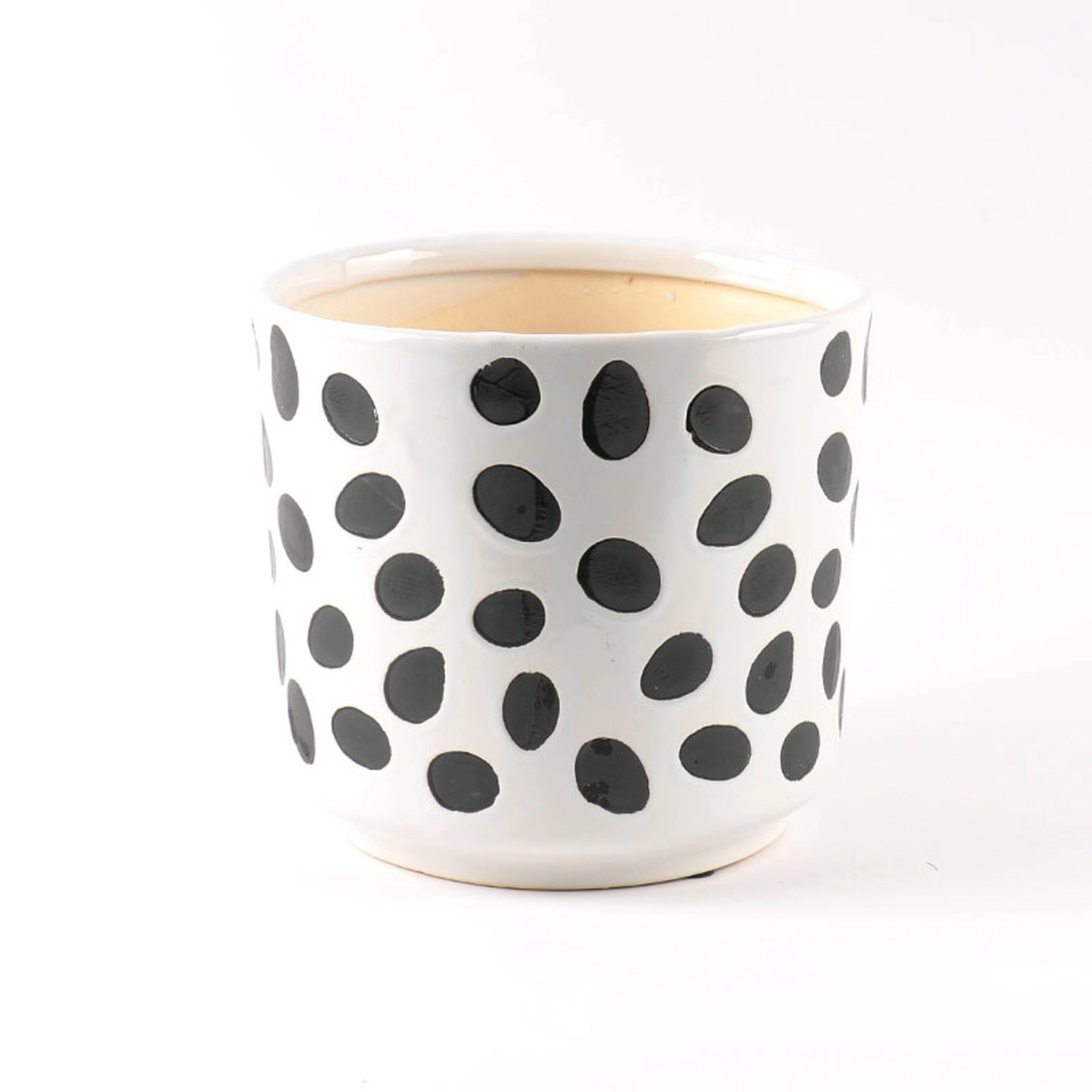 Dots Pot – Northcote Nursery