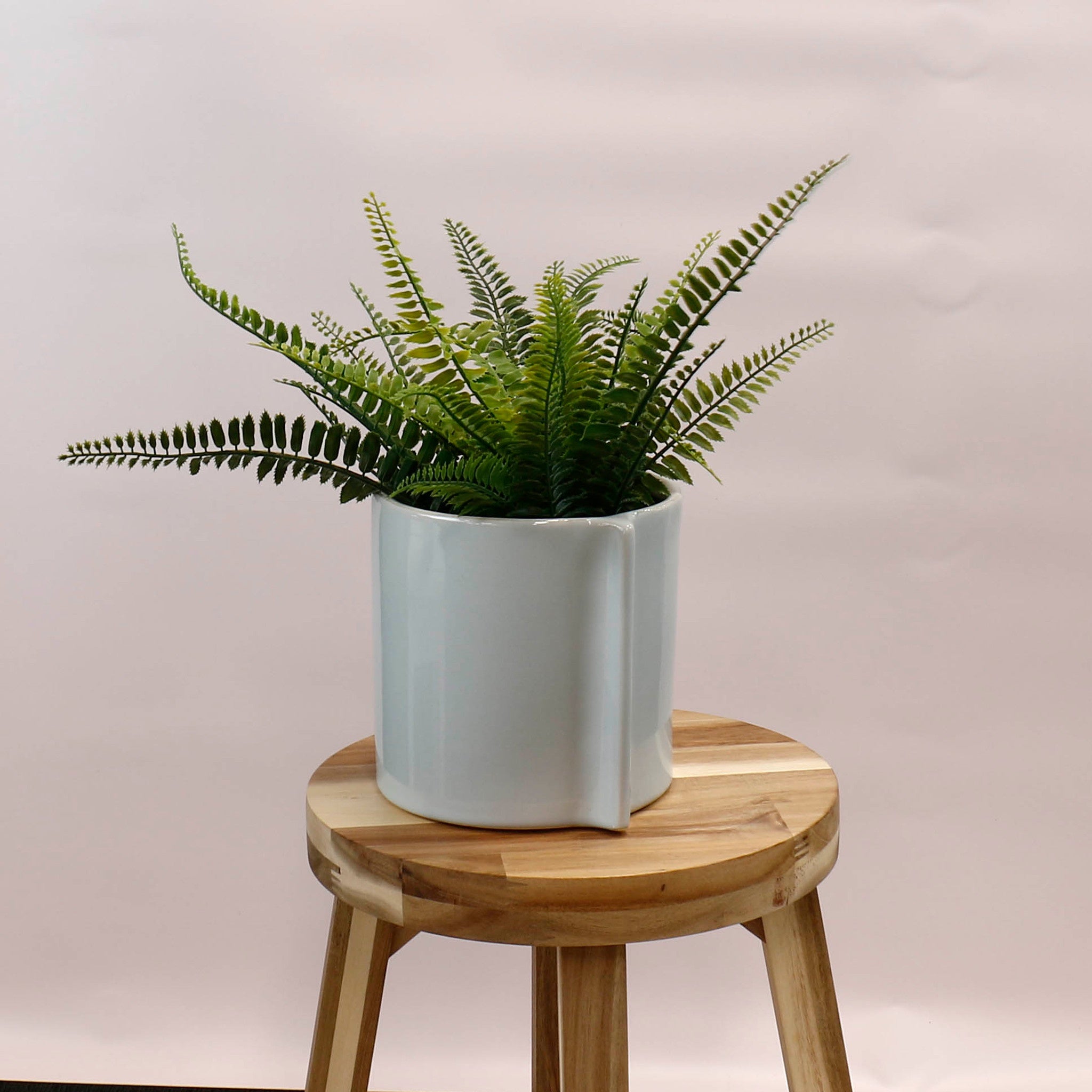Pale Blue Pot – Northcote Nursery