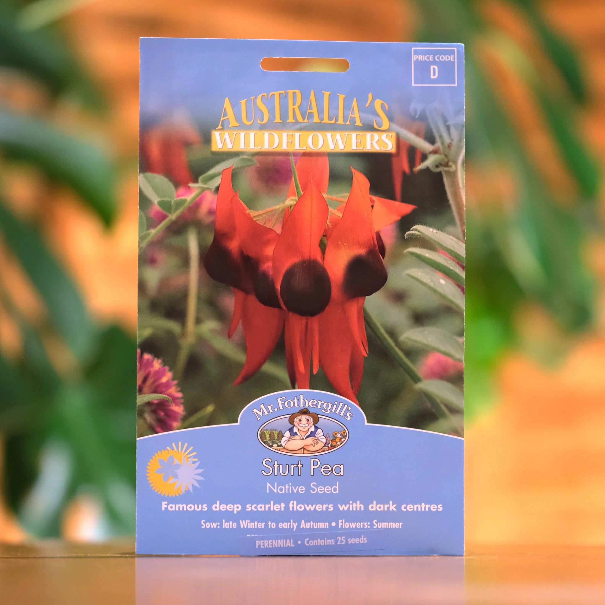 Sturt Pea seeds – Northcote Nursery