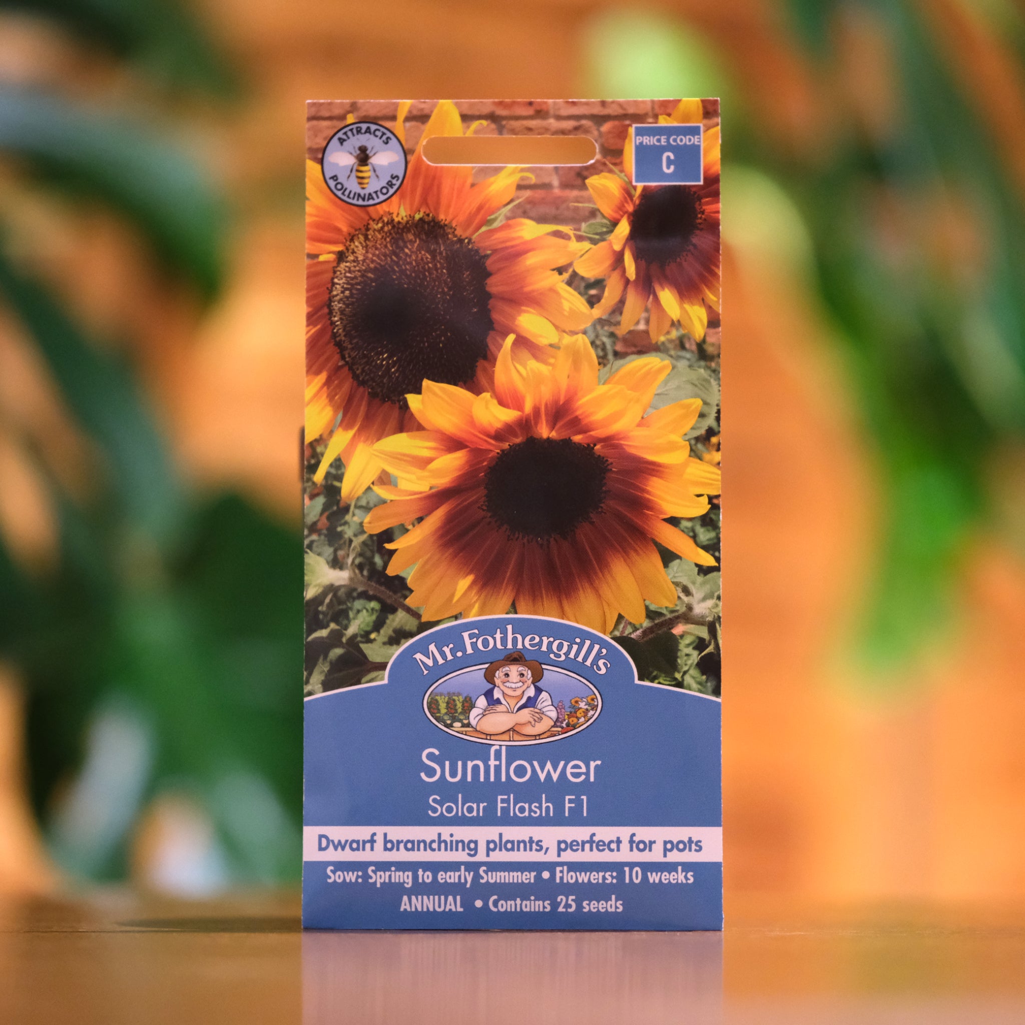 Sunflower 'Solar Flash F1' seeds – Northcote Nursery