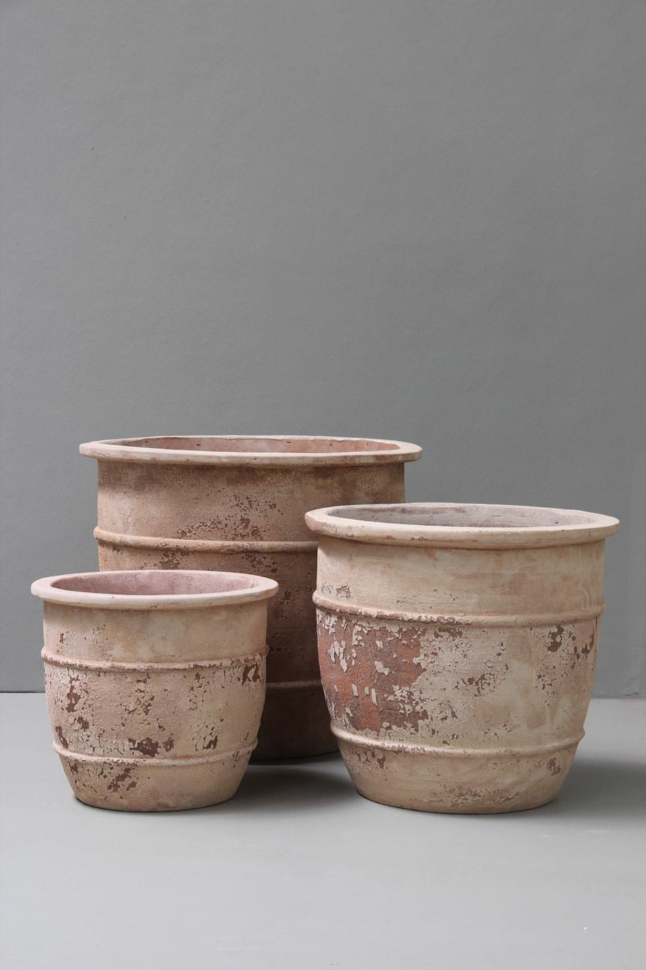 Antiqued Terracotta Capri Pot – Northcote Nursery