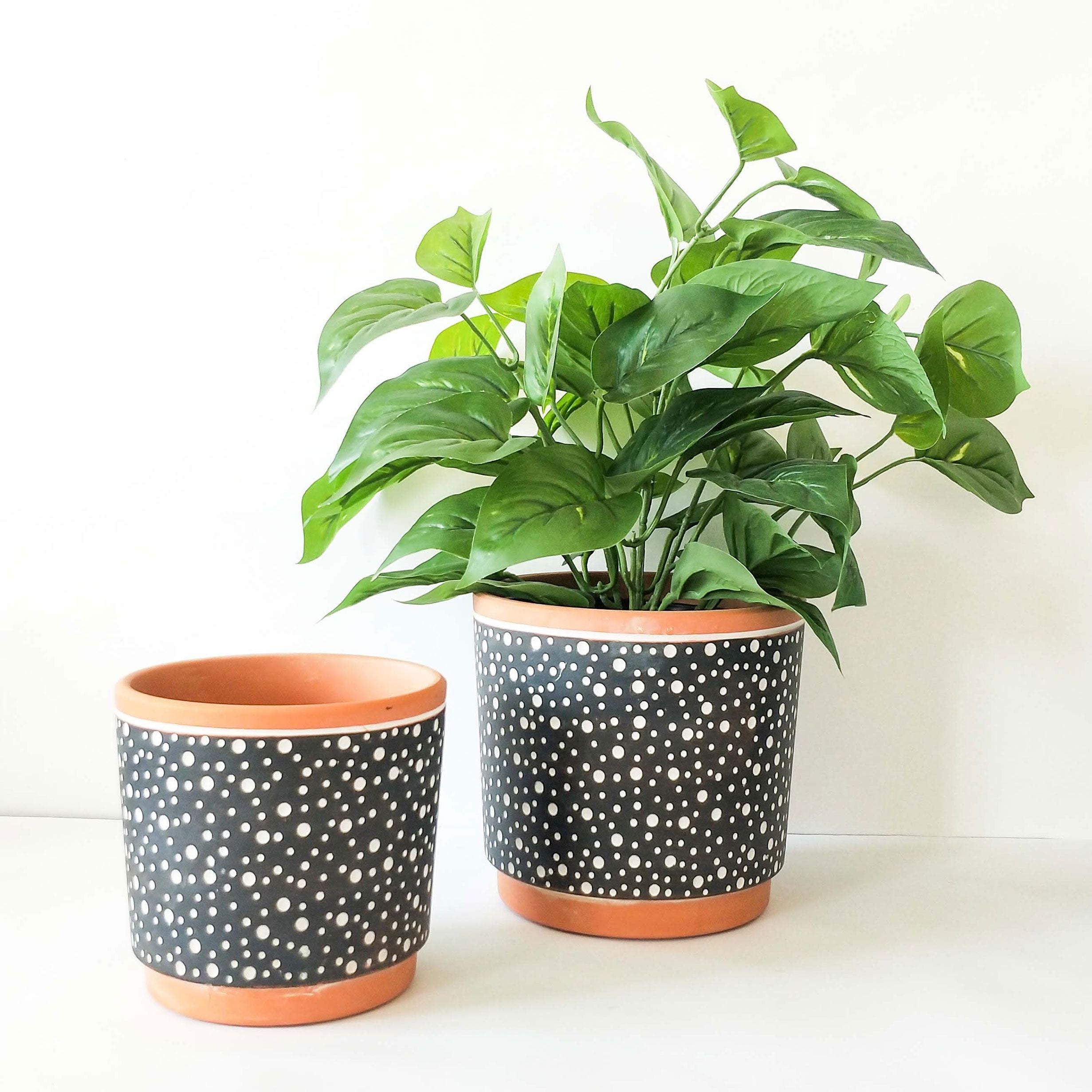 Dotti Planter – Northcote Nursery
