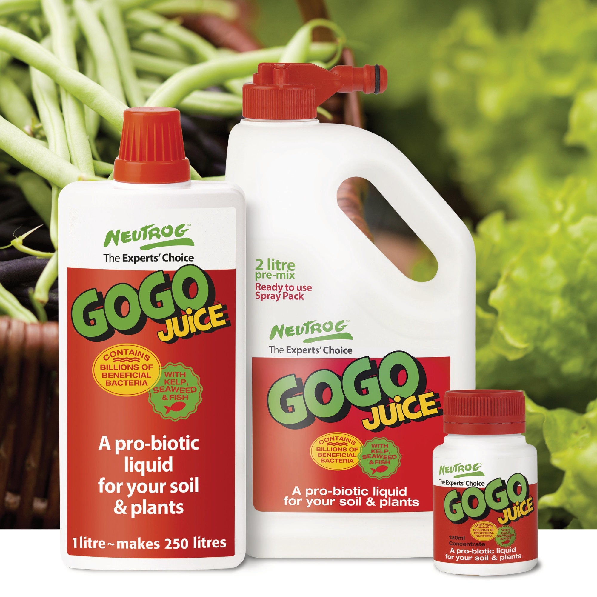 GOGO Juice Pre-mix Hose-on – Northcote Nursery