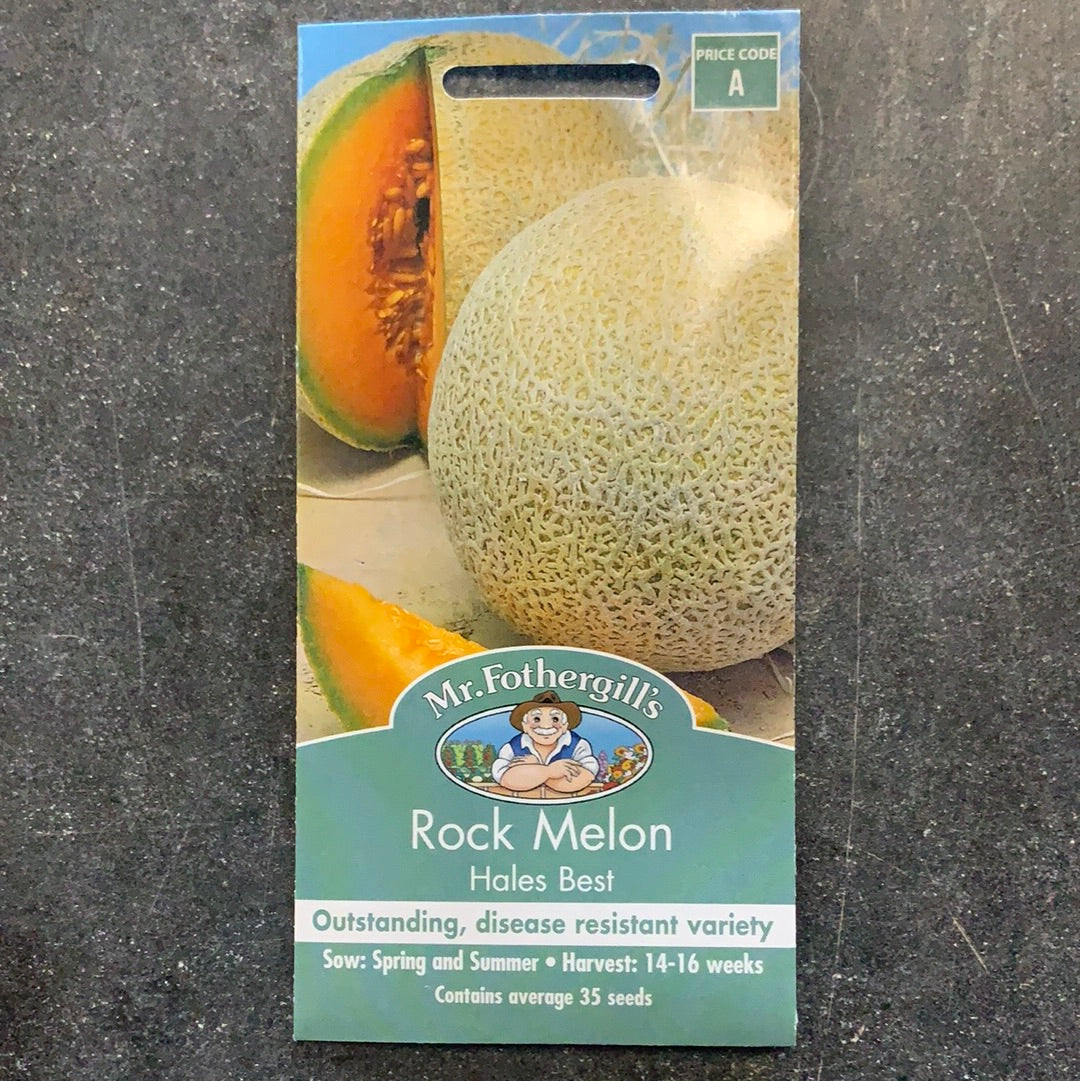 Rock Melon 'Hales Best' seeds – Northcote Nursery