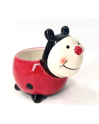 Lady Bug Pot – Northcote Nursery