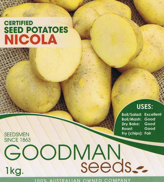 Seed Potatoes - Nicola – Northcote Nursery