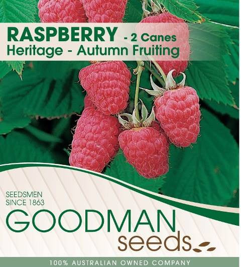 Raspberry 'Heritage' Bare Root – Northcote Nursery