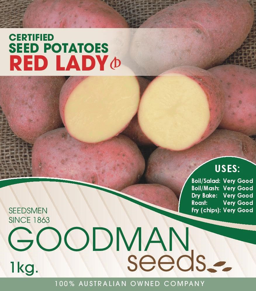 Seed Potatoes - Red Lady – Northcote Nursery